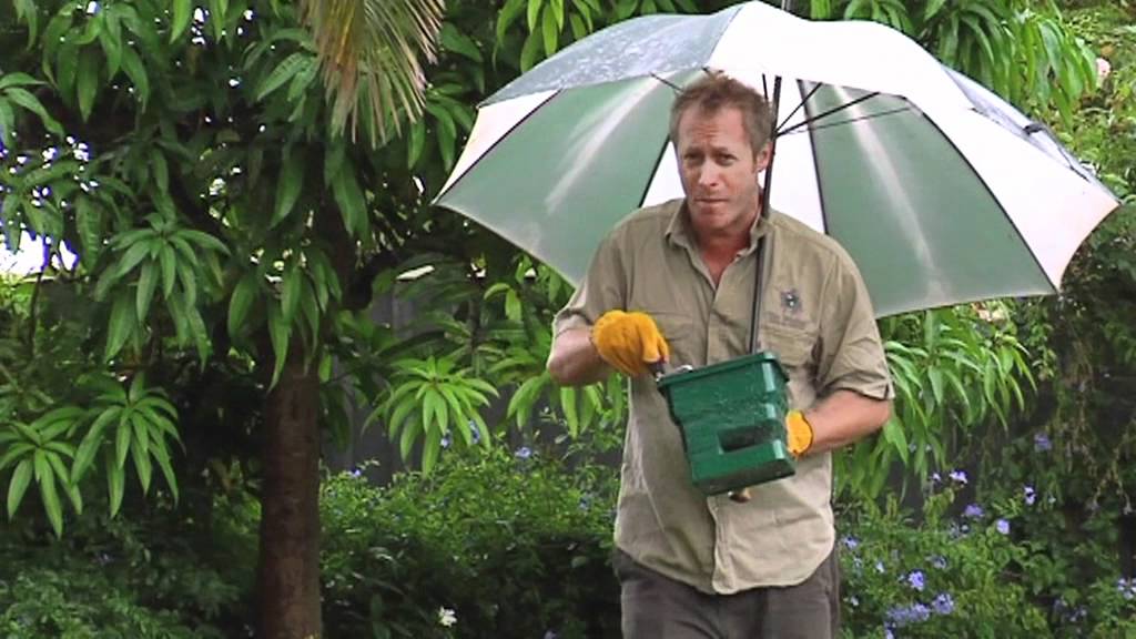 Controlling lawn pests / Lawn rescue - Cobbitty Turf - YouTube