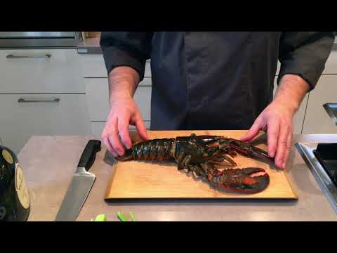 Hummer fachgerecht zerteilen, Hummercocktail - YouTube