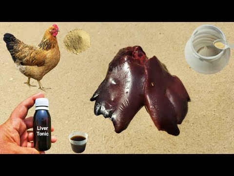 Healthy Liver, Healthy Birds | Poultry Liver Disorders, Symptoms ...