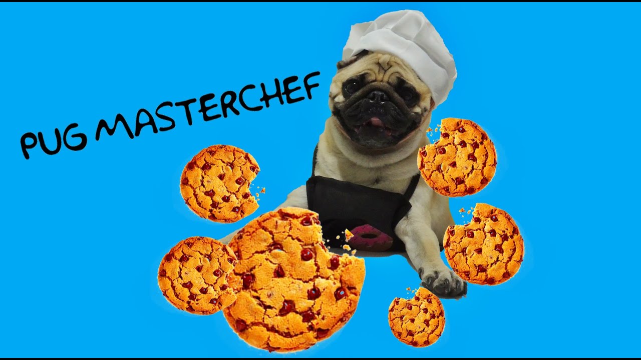 PUG MASTERCHEF - YouTube