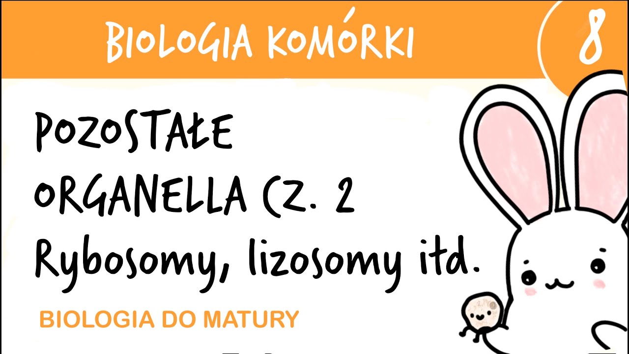 Cytologia 8 - Pozostałe organella cz.2 Rybosomy, peroksysomy, lizosomy ...