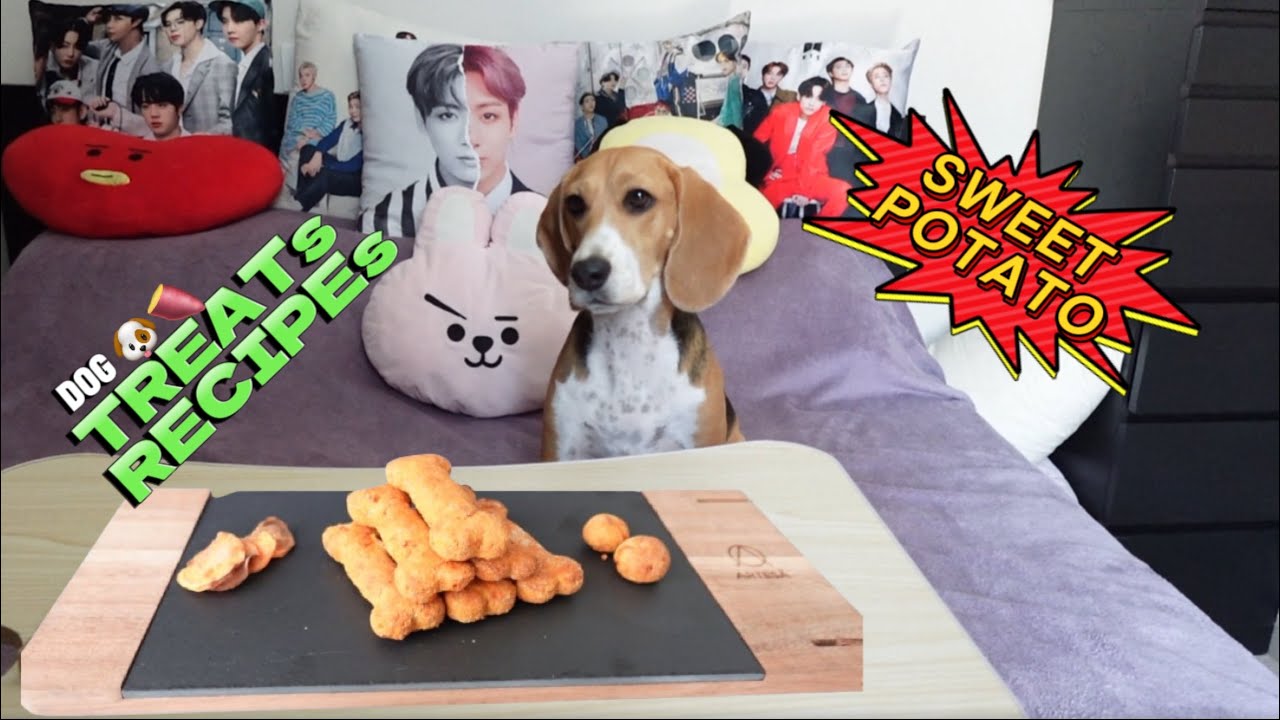 Cooking with Beagle 🍠🦴 Homemade Dog Treats with sweet potato 🍠 - YouTube
