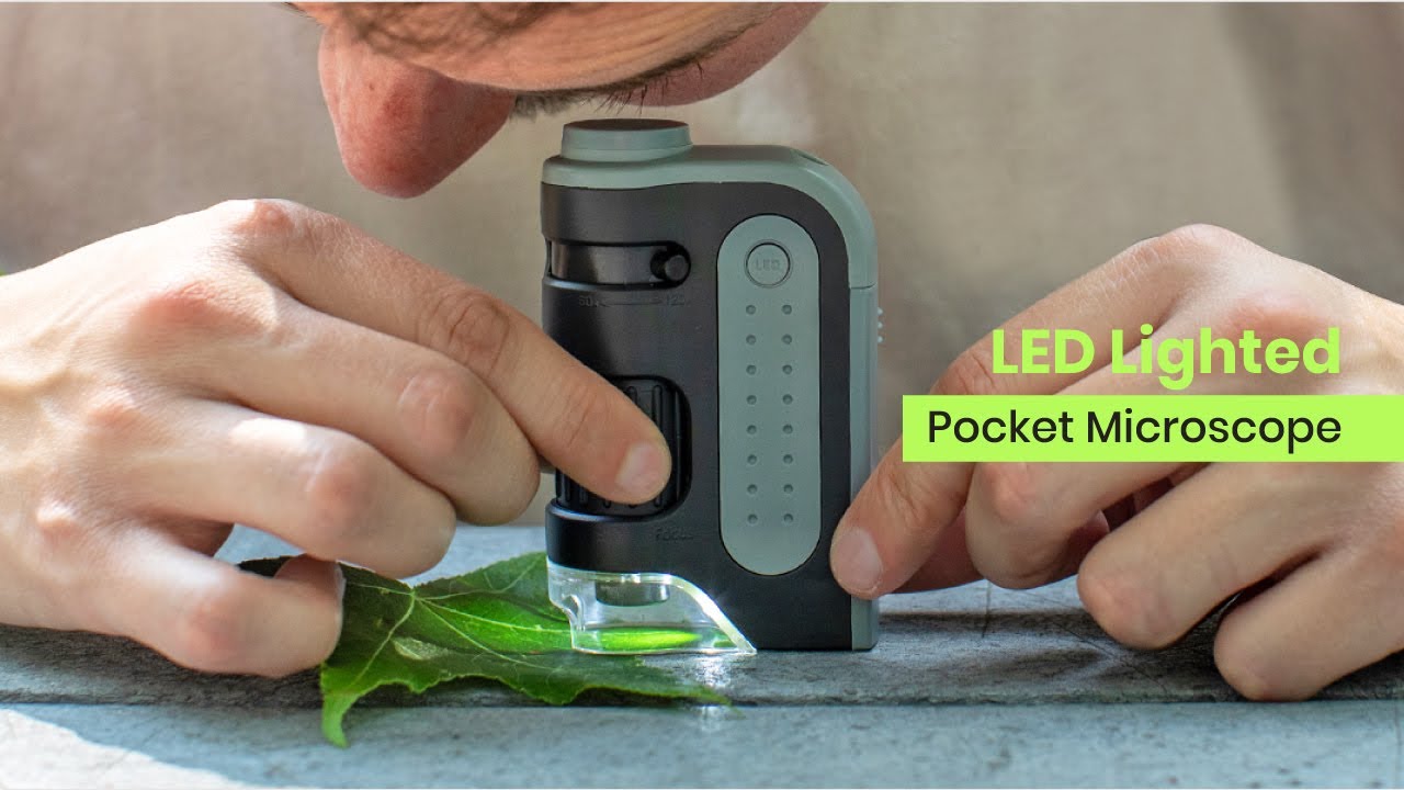 Best Pocket Microscope • Carson MicroBrite LED Lighted Pocket Microscope | Review - YouTube