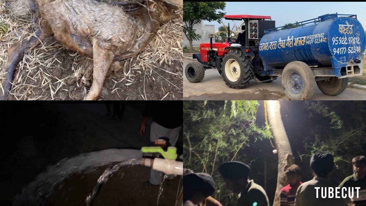 Ajj kiti animals lai panni di seva🙏🙏🥺🥺janti dam ch 🙏animals are dead ...