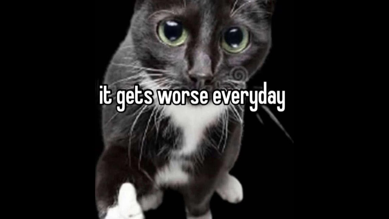 ULTRAKILL Early Access P% Heresy Layer: 2:17.800 - YouTube