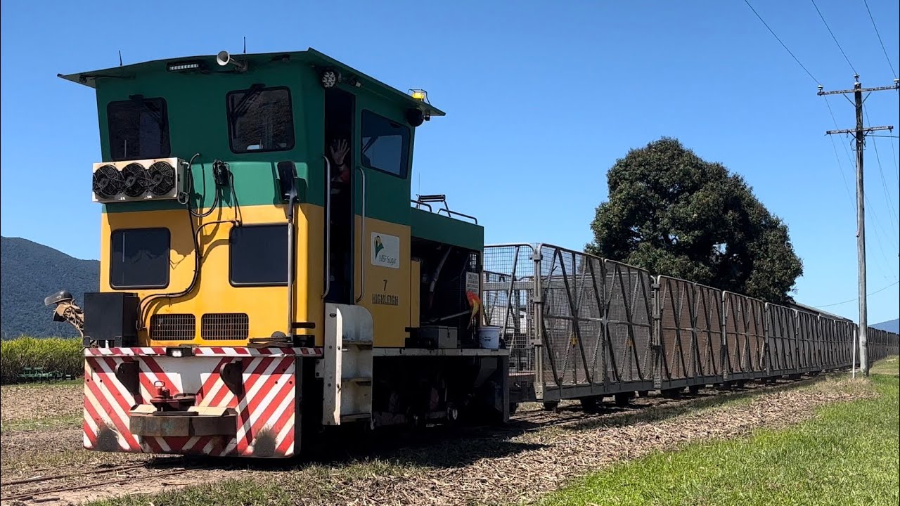 Mulgrave Mill Locomotive 7 ‘Highleigh’ at Aloomba - YouTube