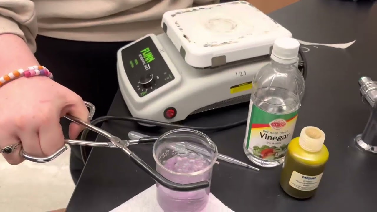 Forensics project - YouTube