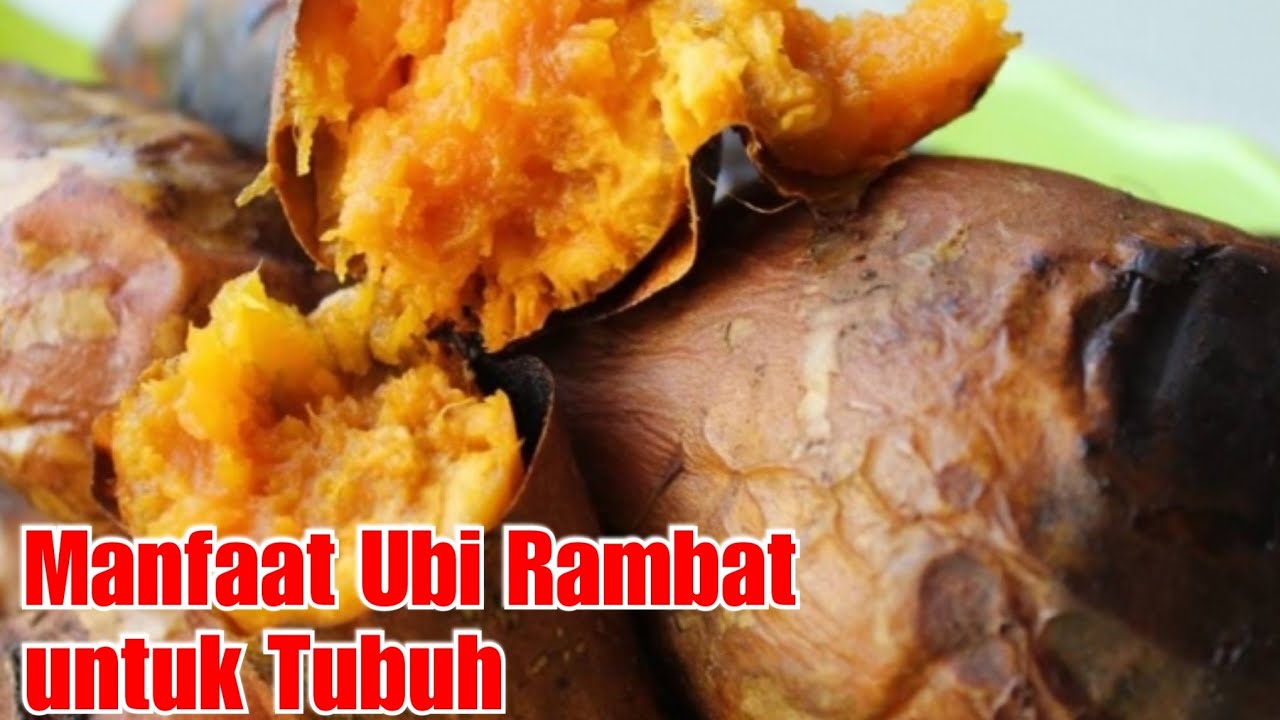 Manfat ubi Rambat untuk tubuh - YouTube