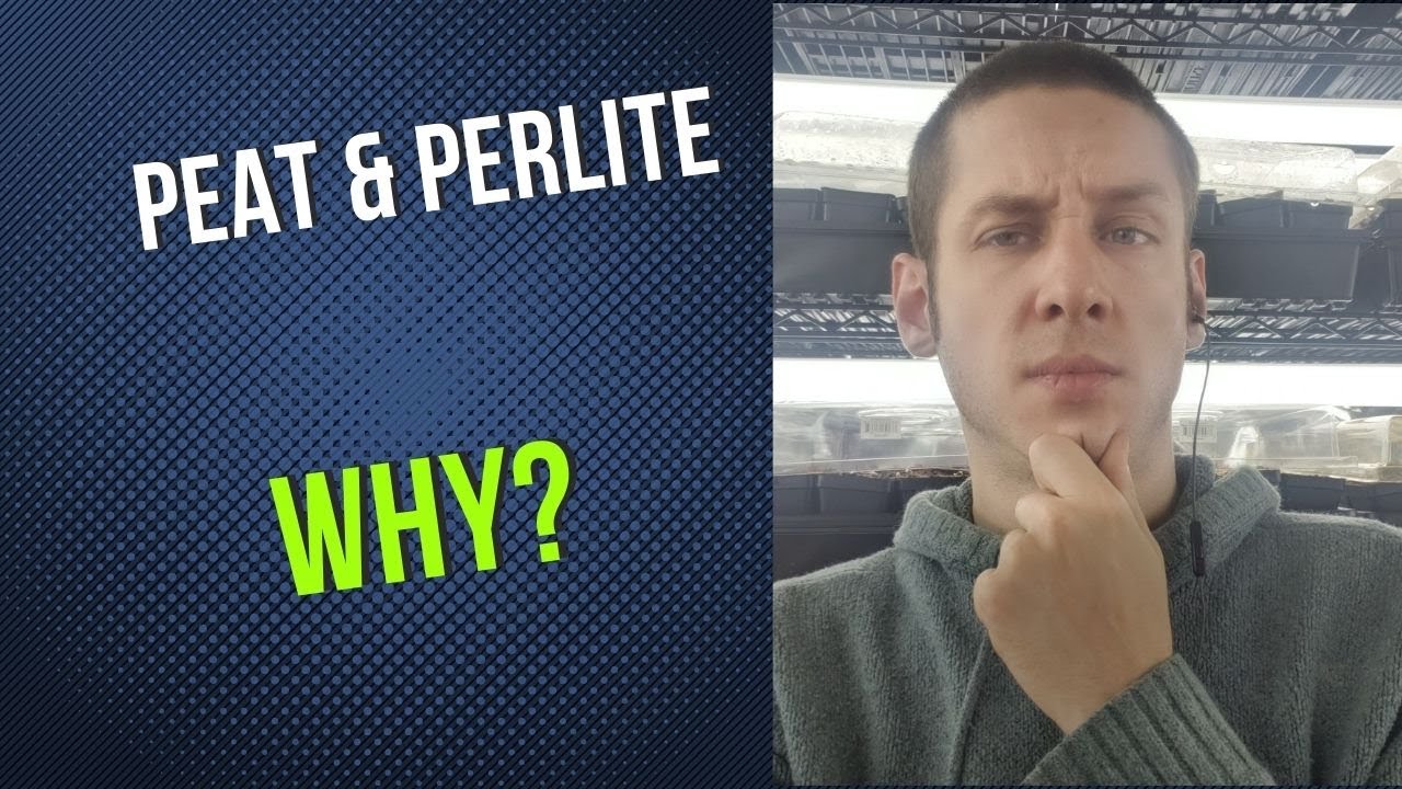 Why Do We Use Peat & Perlite For Carnivorous Plants? - YouTube