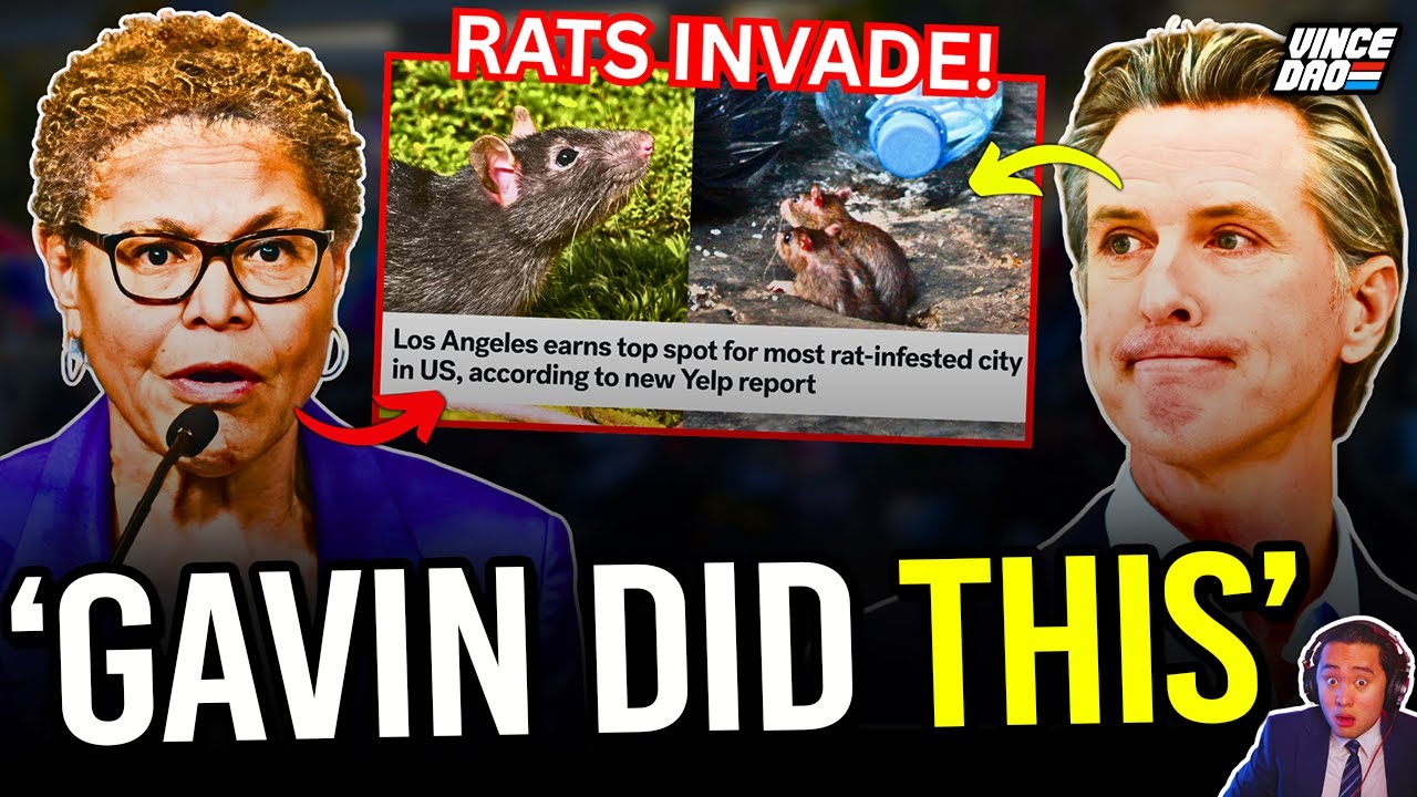 Los Angeles DEVASTATED by Historic Rat Infestation as California ...
