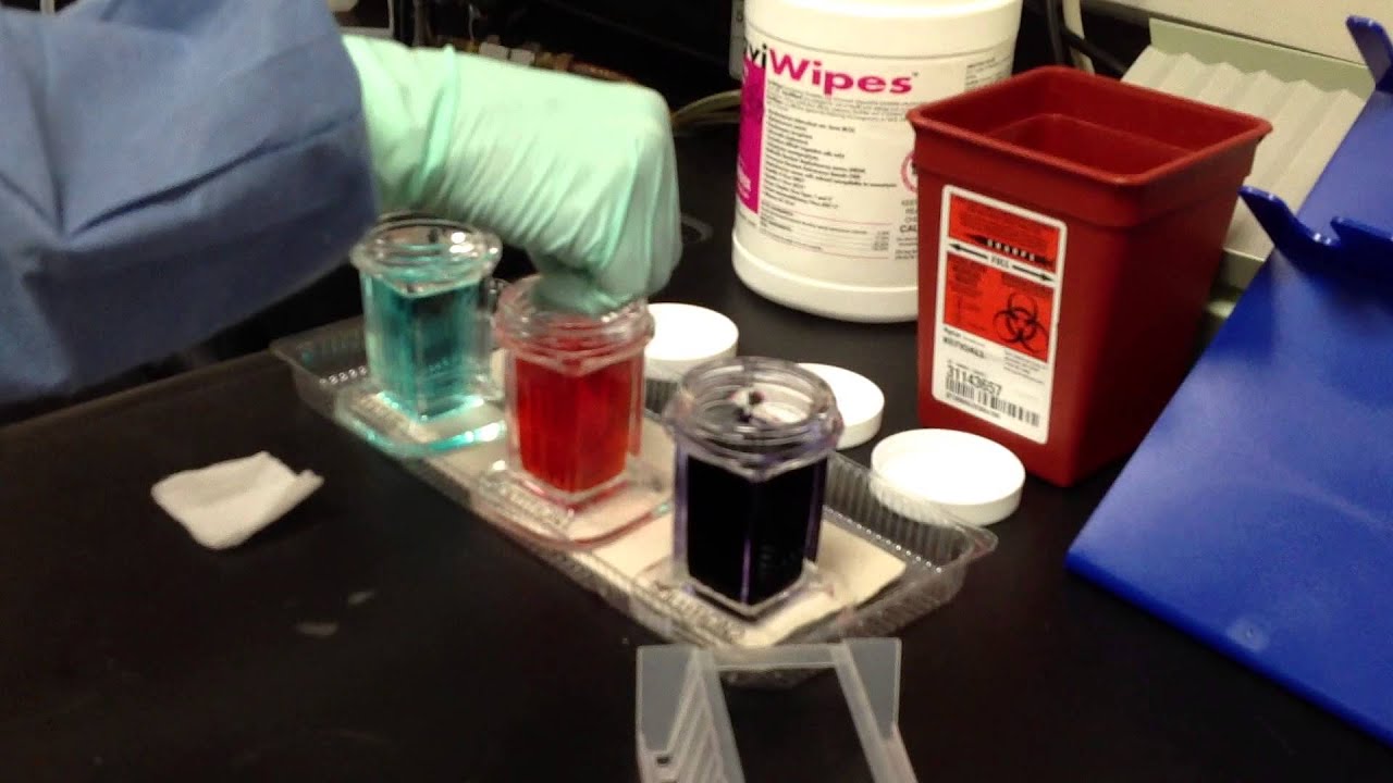 Wright s Stain YouTube wright-s-stain-youtube