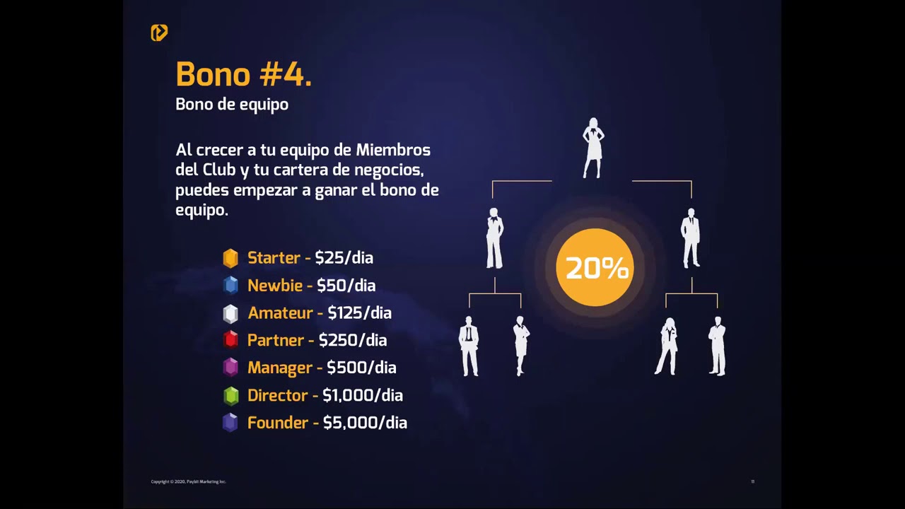 Paybit Club Presentacion Completa - YouTube