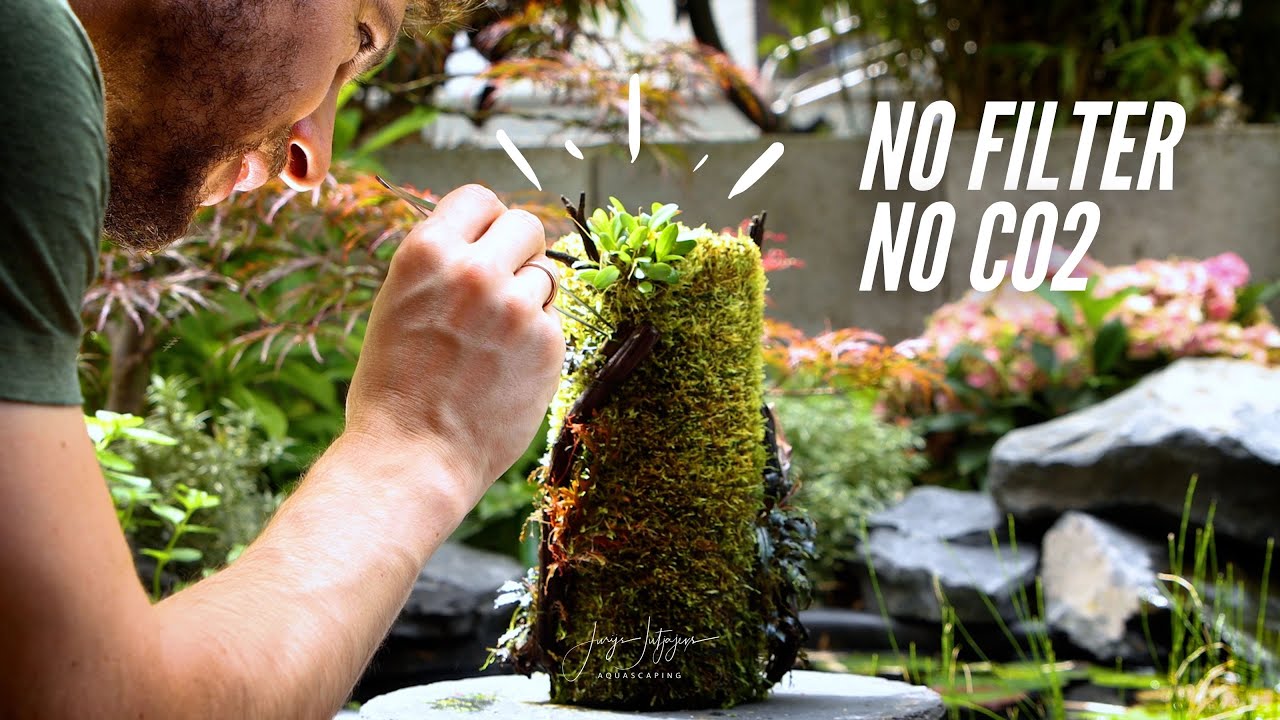 DOOA Terra Base - Relaxing Maintenance Session - YouTube