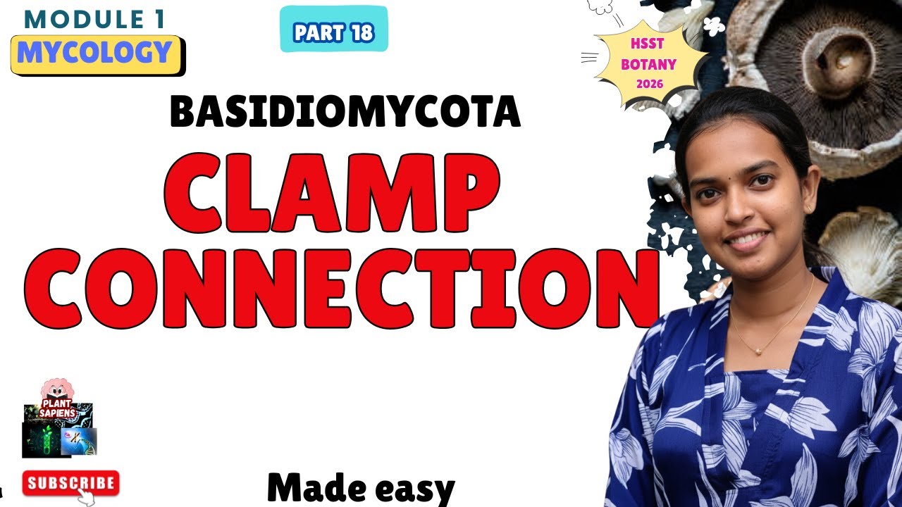 Clamp Connections in Fungi: A Detailed Guide| HSST & SET Botany | - YouTube