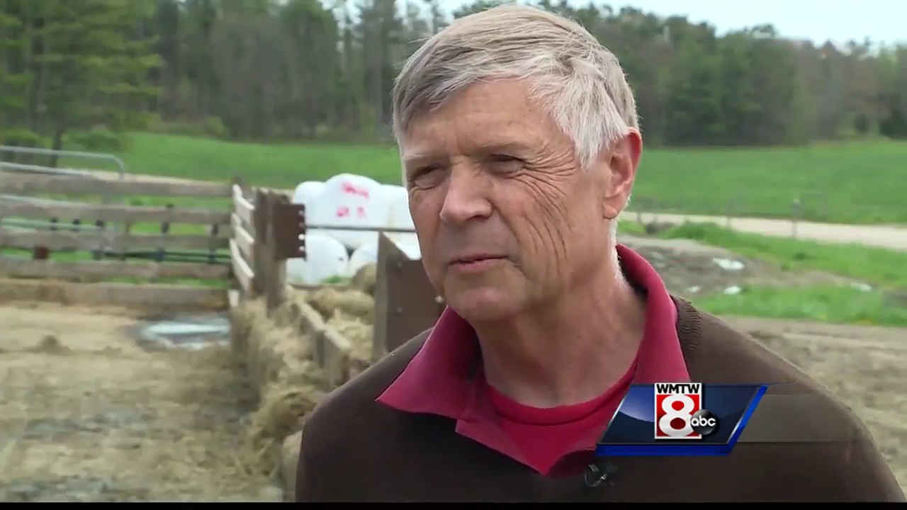 Cow farts and climate change: It's a real connection, scientists say ...