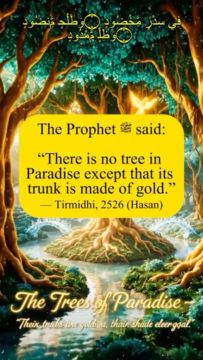 What the Trees of Paradise Look Like — Beyond Imagination 😍# ...