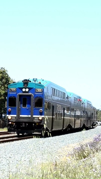 Coaster 2309 Coasts through CP Swamis with a 3 tap + S&HC - YouTube