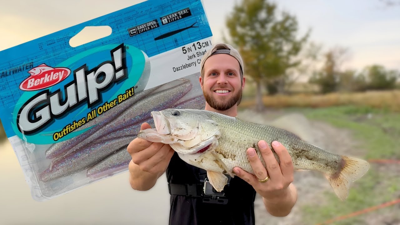 Saltwater Bait In A Freshwater Pond Drives The Bass Crazy - YouTube