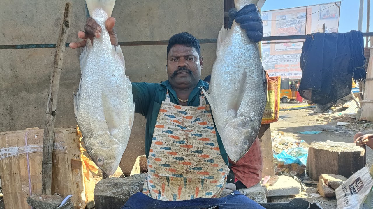 fish cutting selvam korukkai fish cutting - YouTube