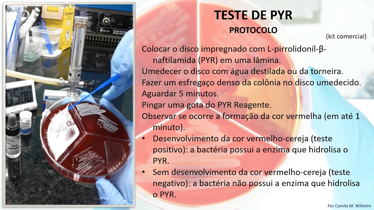 Teste de PYR - YouTube