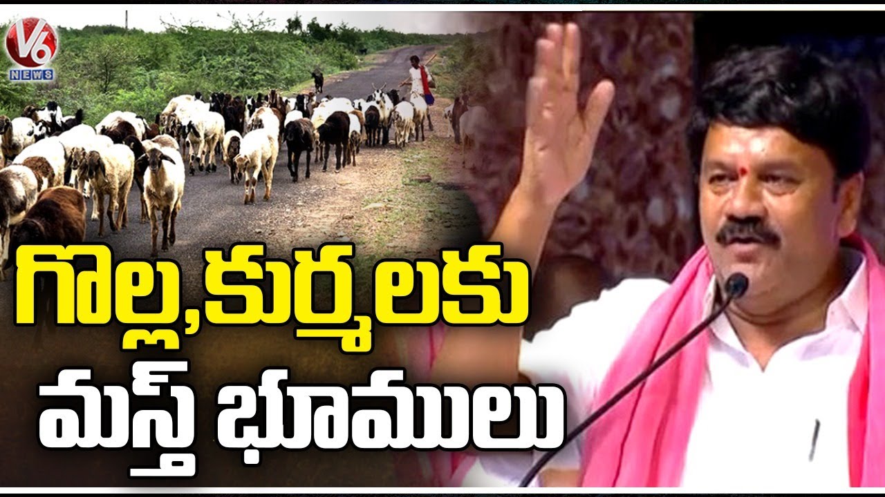 Minister Talasani Srinivas Yadav About Golla Kuruma Community People ...