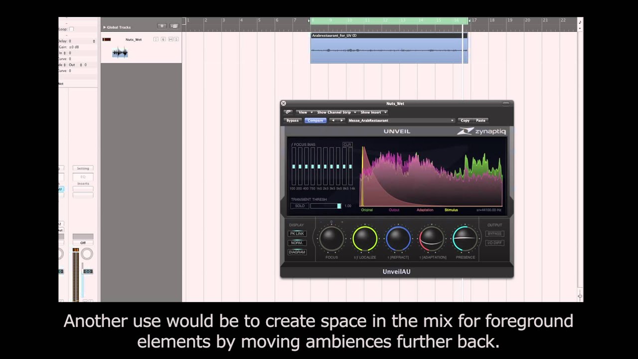 Zynaptiq UNVEIL De-Reverberation and Signal Focusing: Applications For ...
