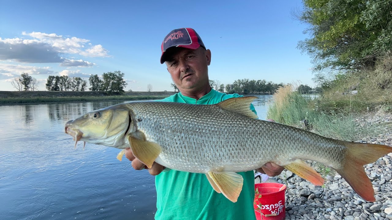 Siret Reloaded! Dulce razbunare!!! - YouTube