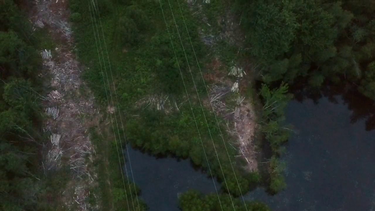 Bear bandit in tmp part 2 - YouTube