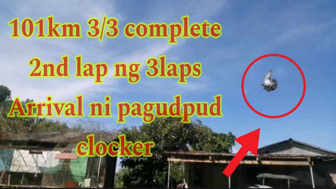 2ND LAP SISON PANGASINAN NGBIGAY DIN TAYO SA MGA ALAGA NATIN PANG LINIS ...
