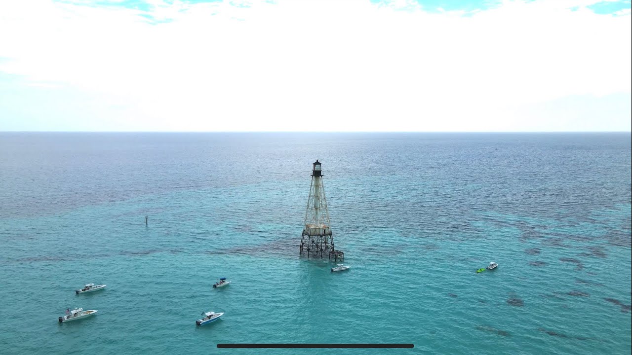 ALLIGATOR REEF 2021 - YouTube