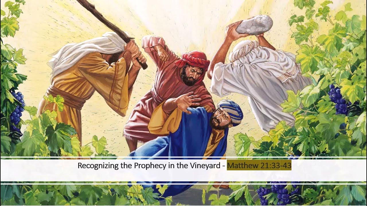 27th Sunday in Ordinary Time Year A Homily 2023 - YouTube