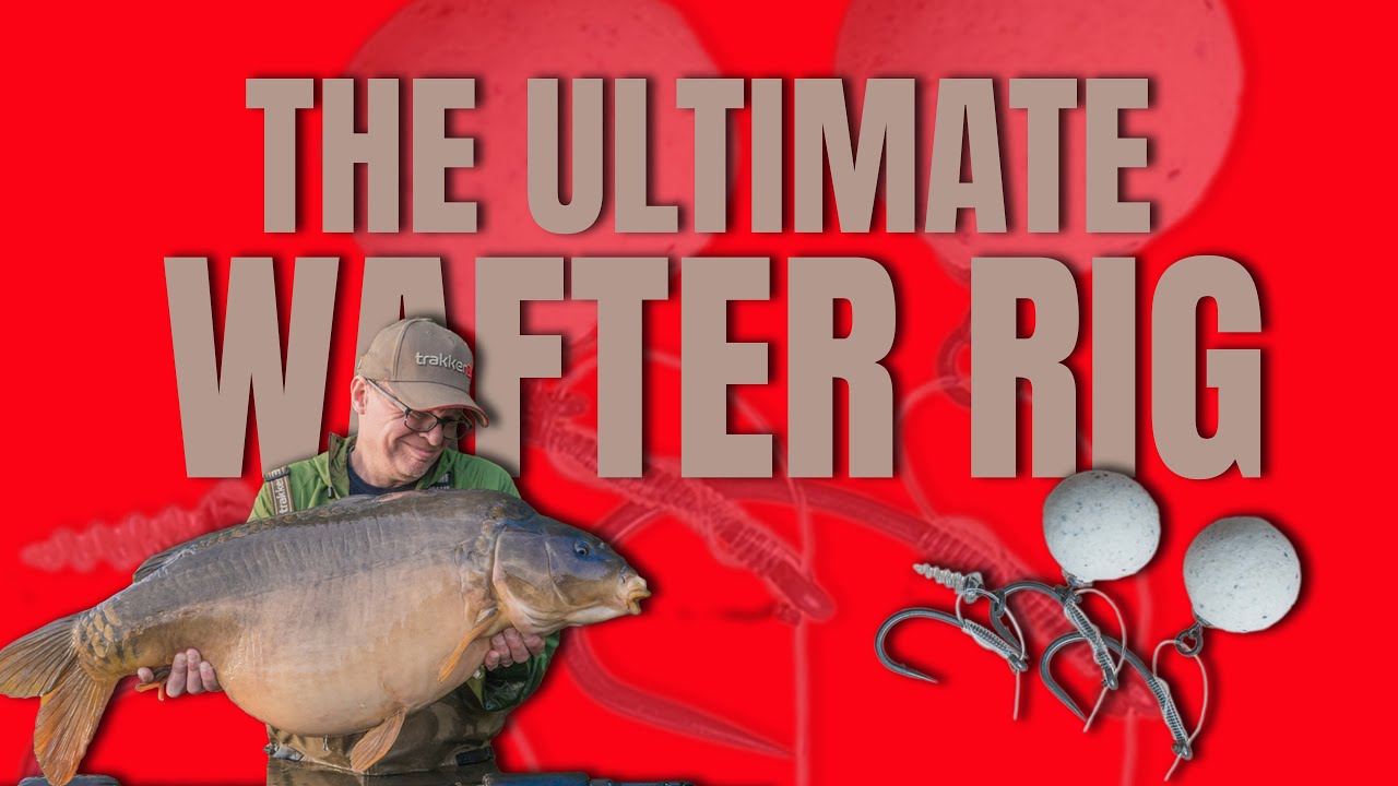Carp Fishing Rigs Made Simple! THE ULTIMATE WAFTER RIG! Your Easy to ...
