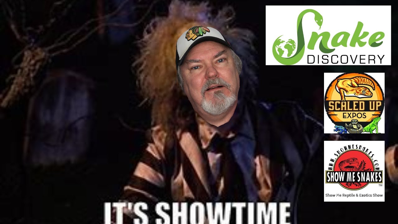 How Did We Do Snake Discovery and 2 Reptile Shows in ONE Weekend? # ...