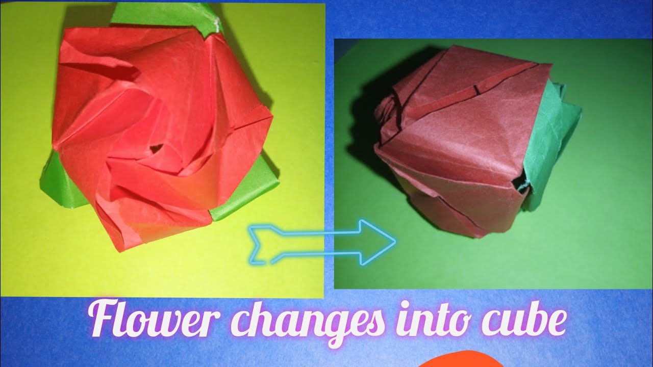How to make Magic paper flower cubes , #diy #craft #diy - YouTube