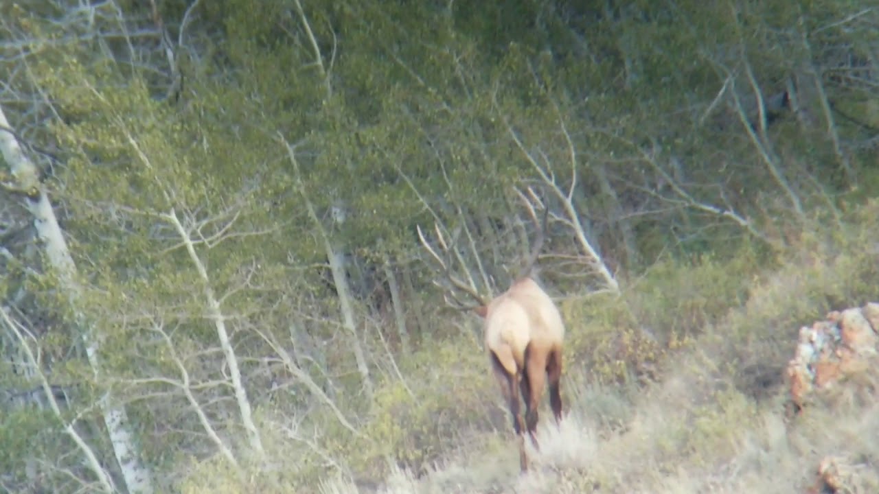 Idaho Unit 54 YouTube idaho-unit-54-youtube