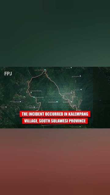 Python Swallows Woman in Indonesian Village: Tragic Encounter#shorts ...