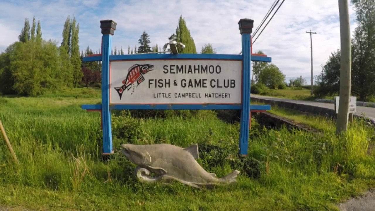 Semiahmoo fish and game club, Surrey, BC, Canada - YouTube