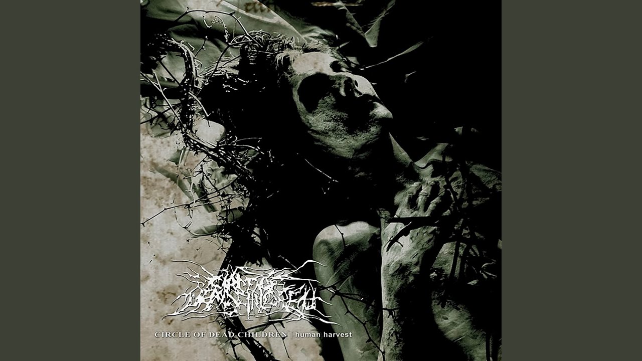 Salt Rock Eyes - YouTube