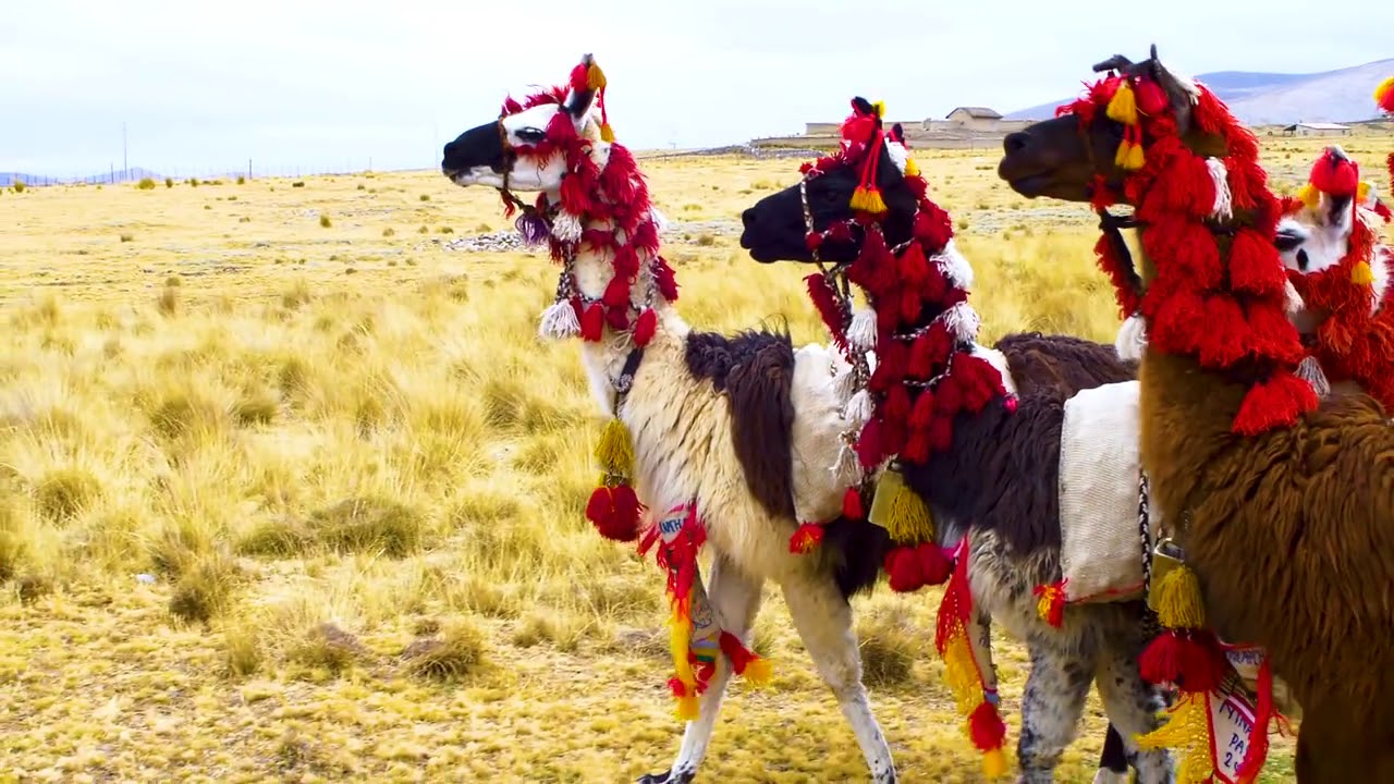 Lindo Peru - YouTube