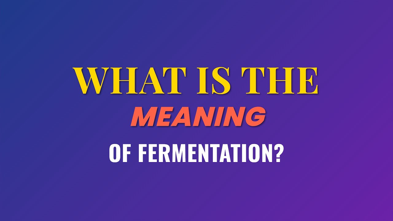 What Is The Meaning Of Fermentation YouTube what-is-the-meaning-of-fermentation-youtube