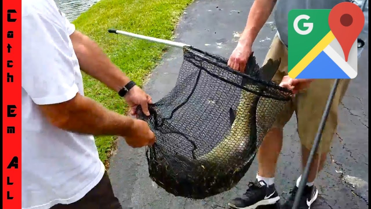 FINDING CRAZY FISHING SPOT on GOOGLE MAPS! Take the FISH! - YouTube
