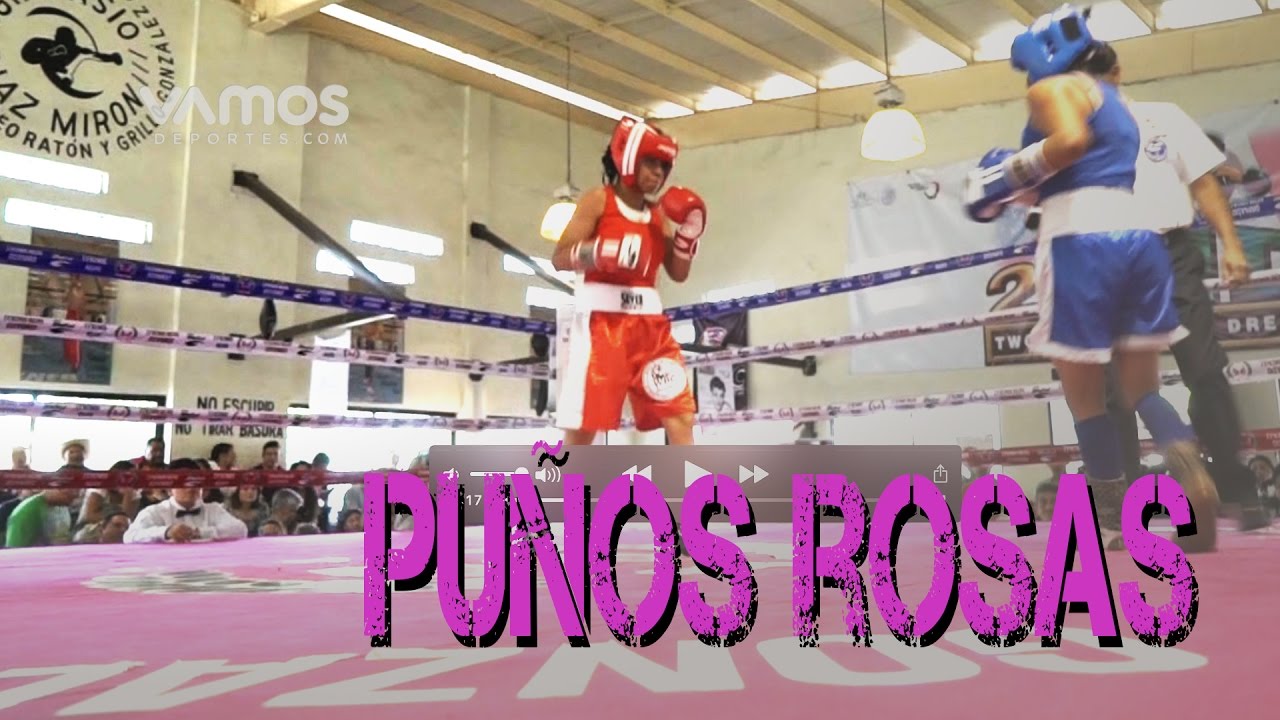 Las finalistas de Puños Rosas 2016 - YouTube
