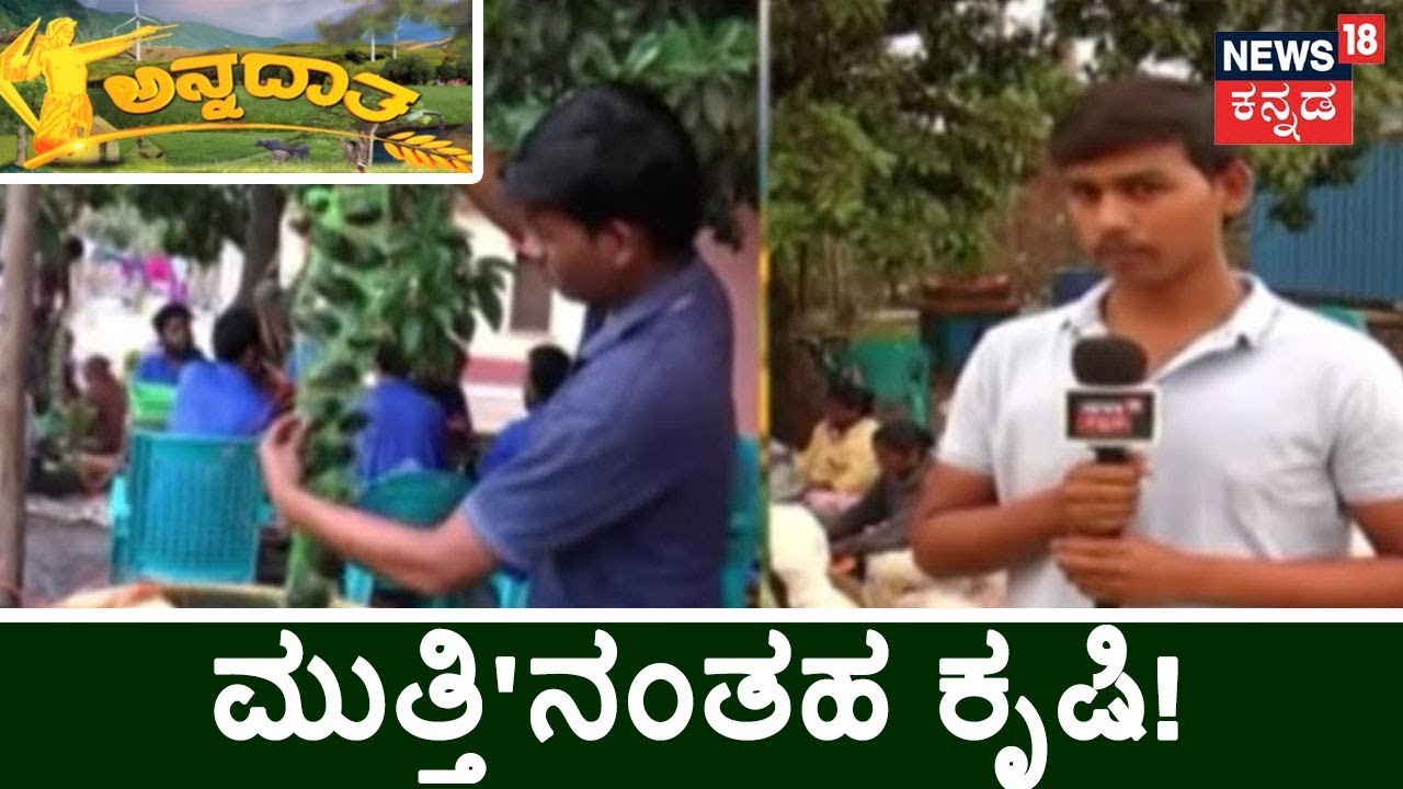Pearl Farming : Tips From Young Pearl Farmer From Sujith Desai | ಅಪರೂಪದ ...