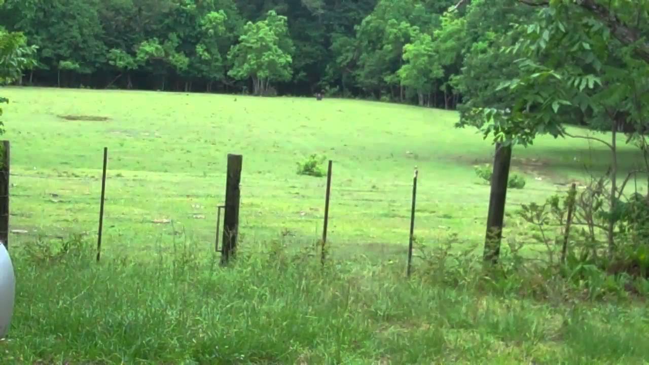 160ish yard fail - YouTube