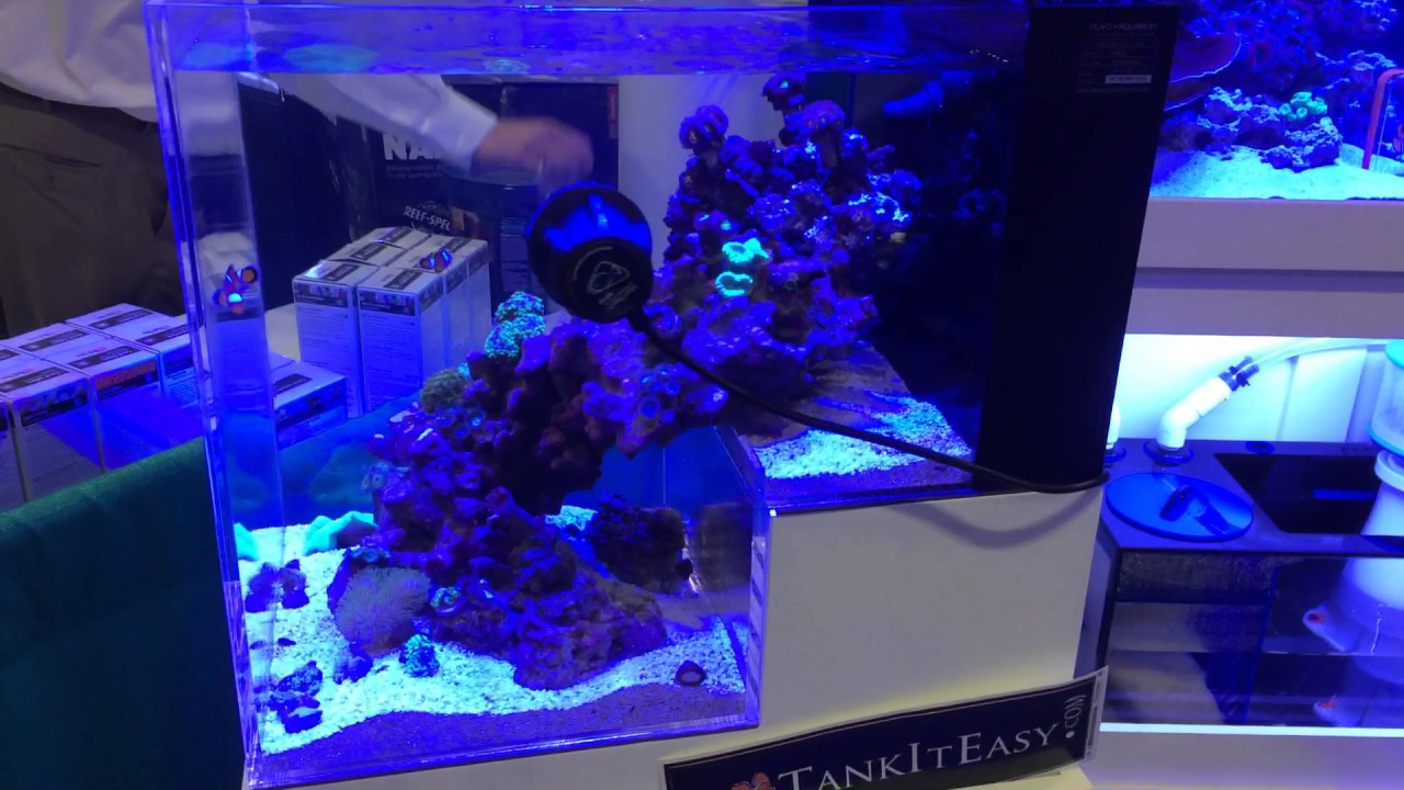 Drop off Reef Tank! - YouTube