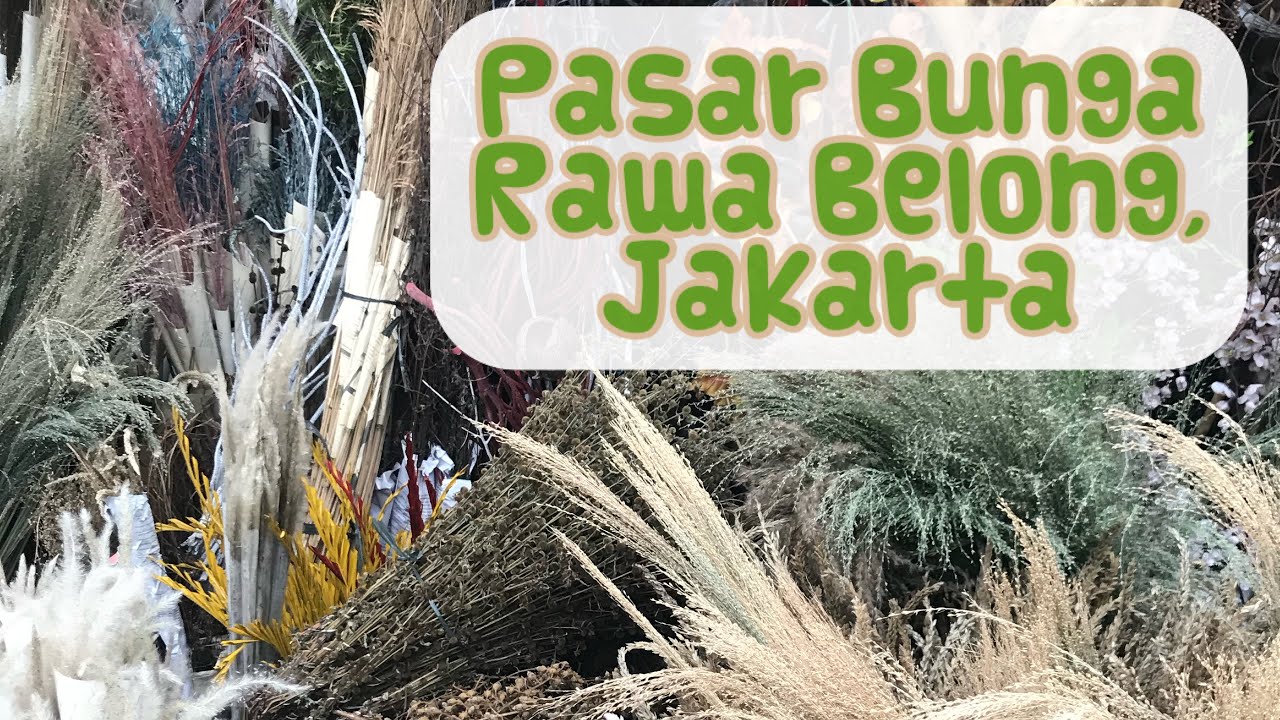 PIKNIK ONLINE KE PASAR BUNGA PALING BESAR DI ASIA TENGGARA! || Rawa ...