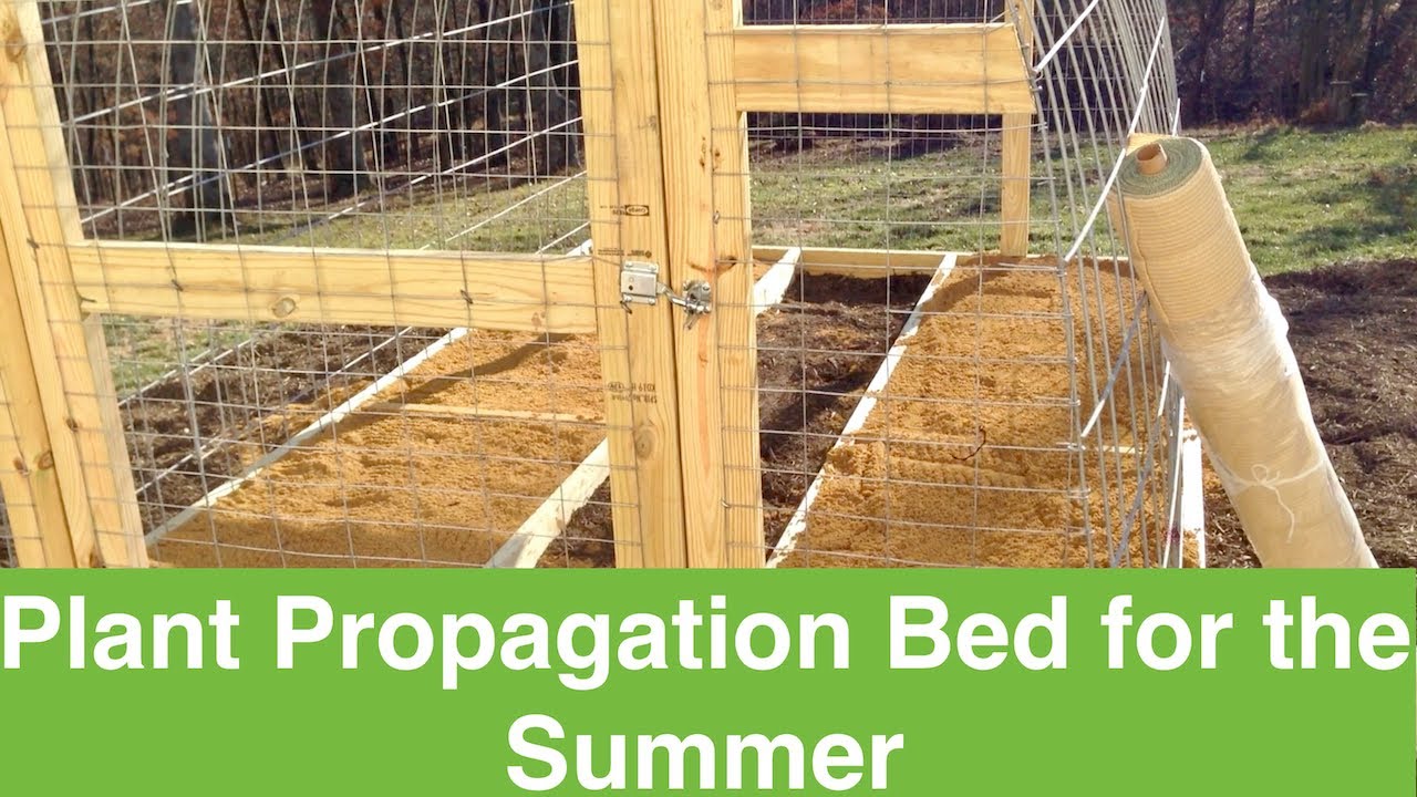 Plant Propagation Bed for the Summer - YouTube