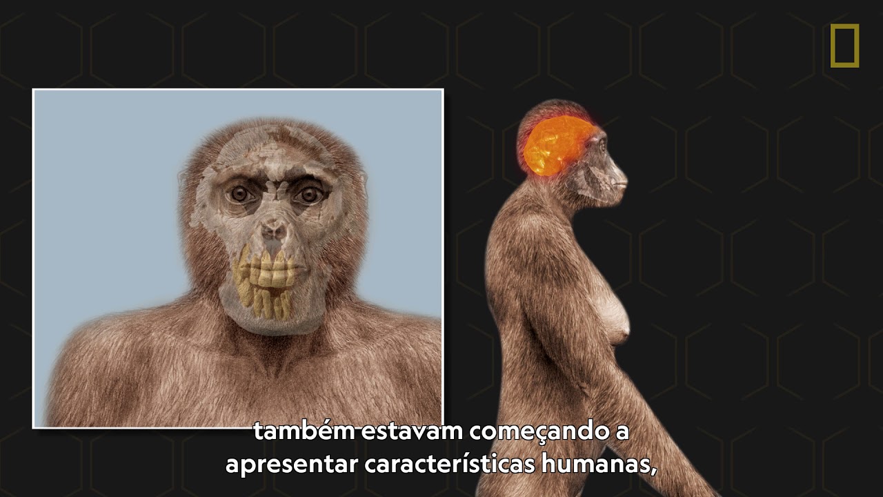 Origem Da Humanidade 101 Youtube