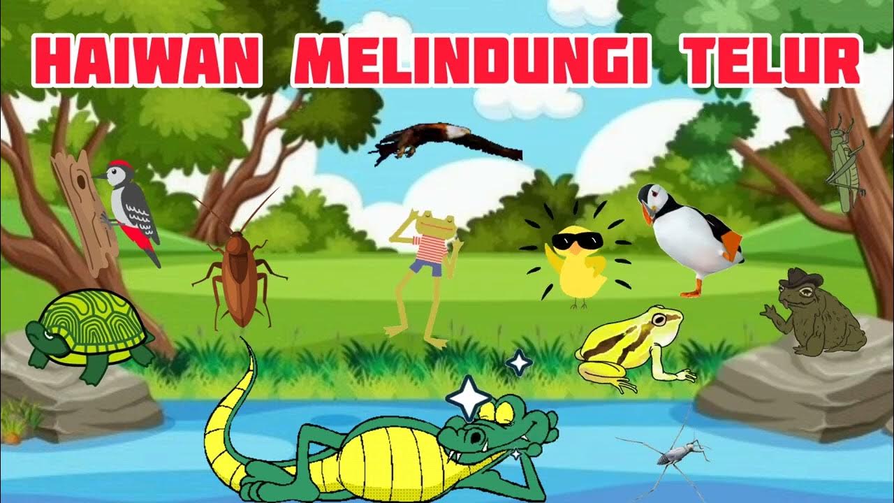 SAINS TAHUN 5 Haiwan melindungi telur dan anaknya - YouTube