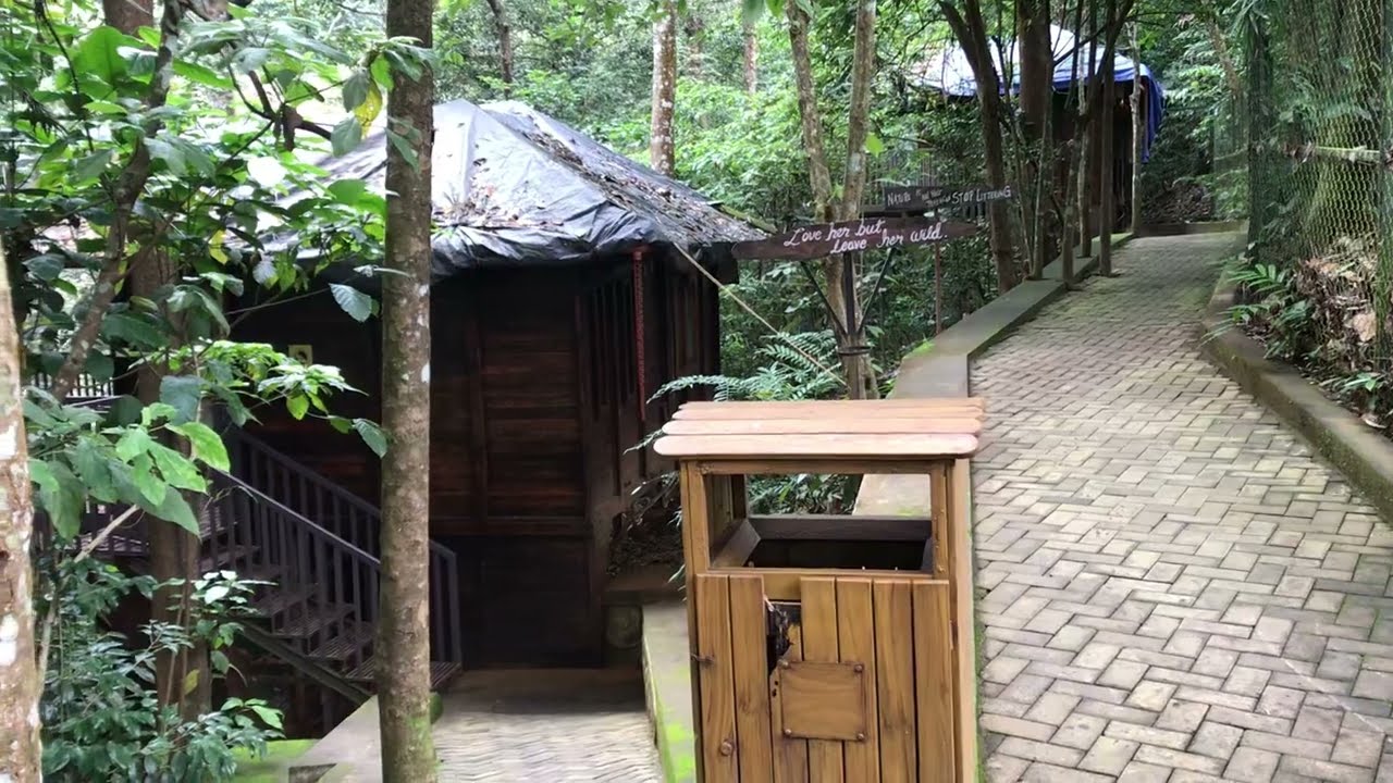 Wild Planet Jungle Resort | Nilgiris | Luxury Jungle Resort | Jungle ...